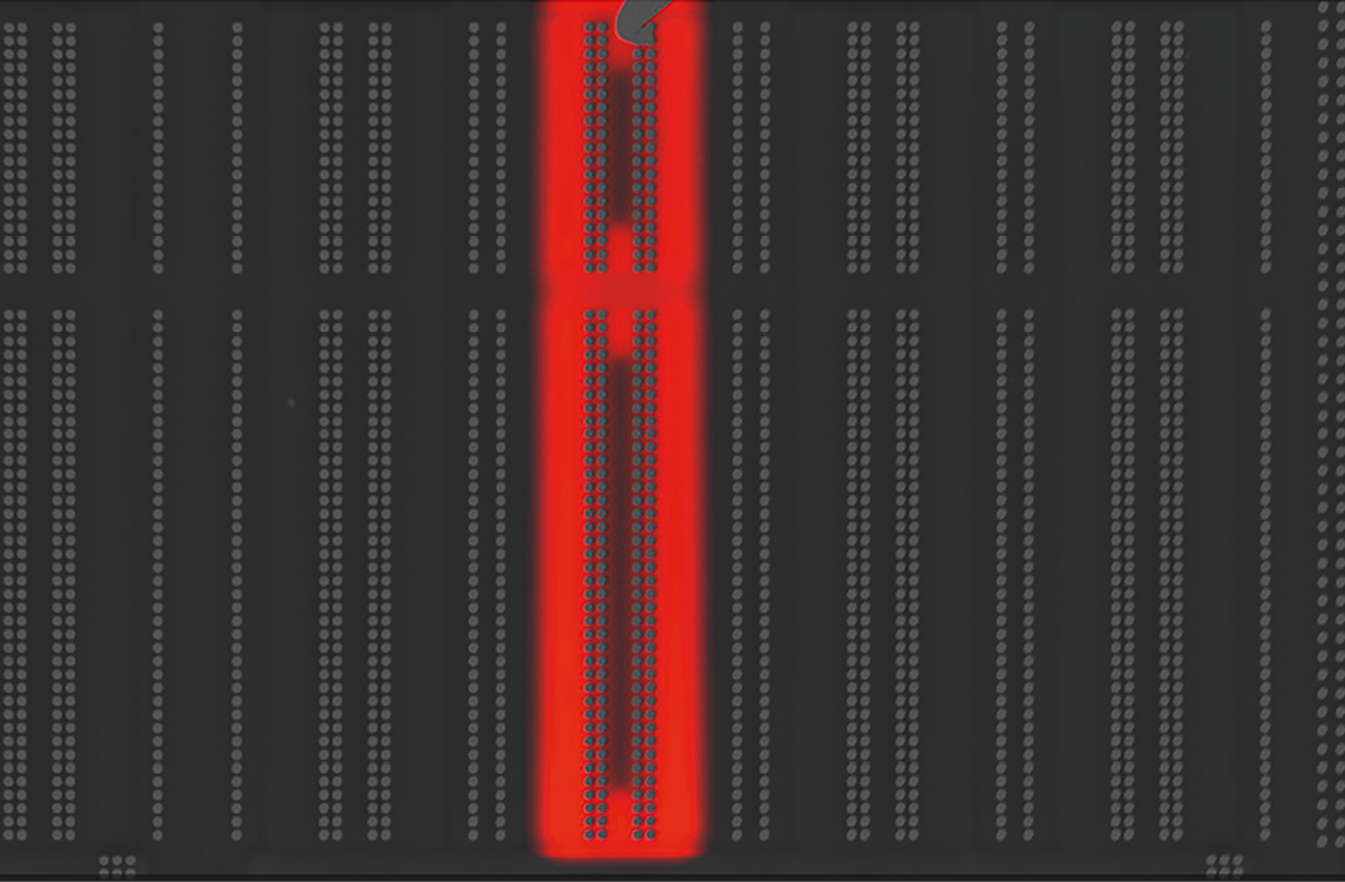 point electronic GmbH - Electronics and software for microscopy – point ...